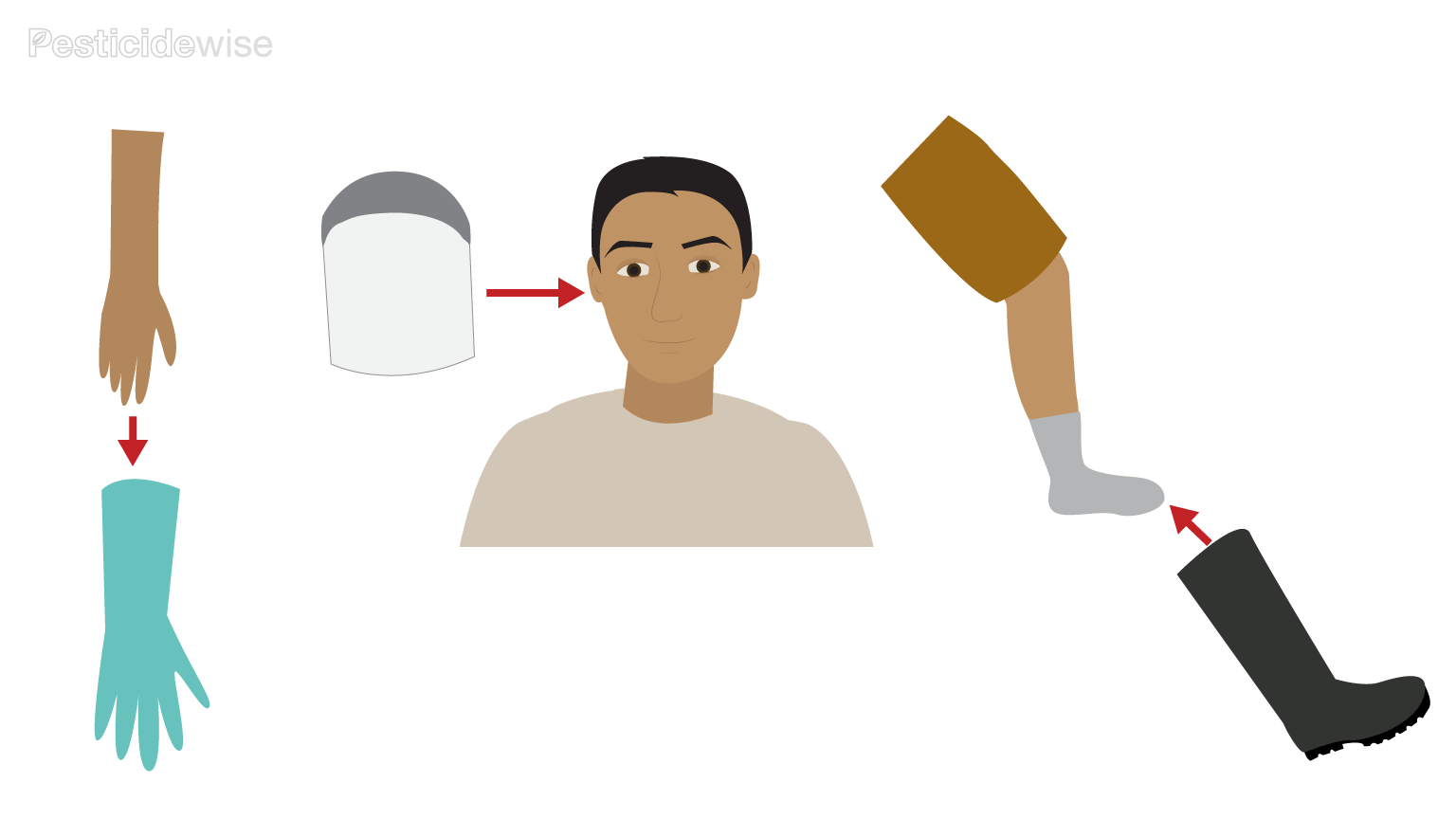Wear the right Personal Protective Equipment (PPE) (Gallery 1 ...