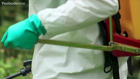 Spot spraying herbicides with a knapsack sprayer | Pesticidewise